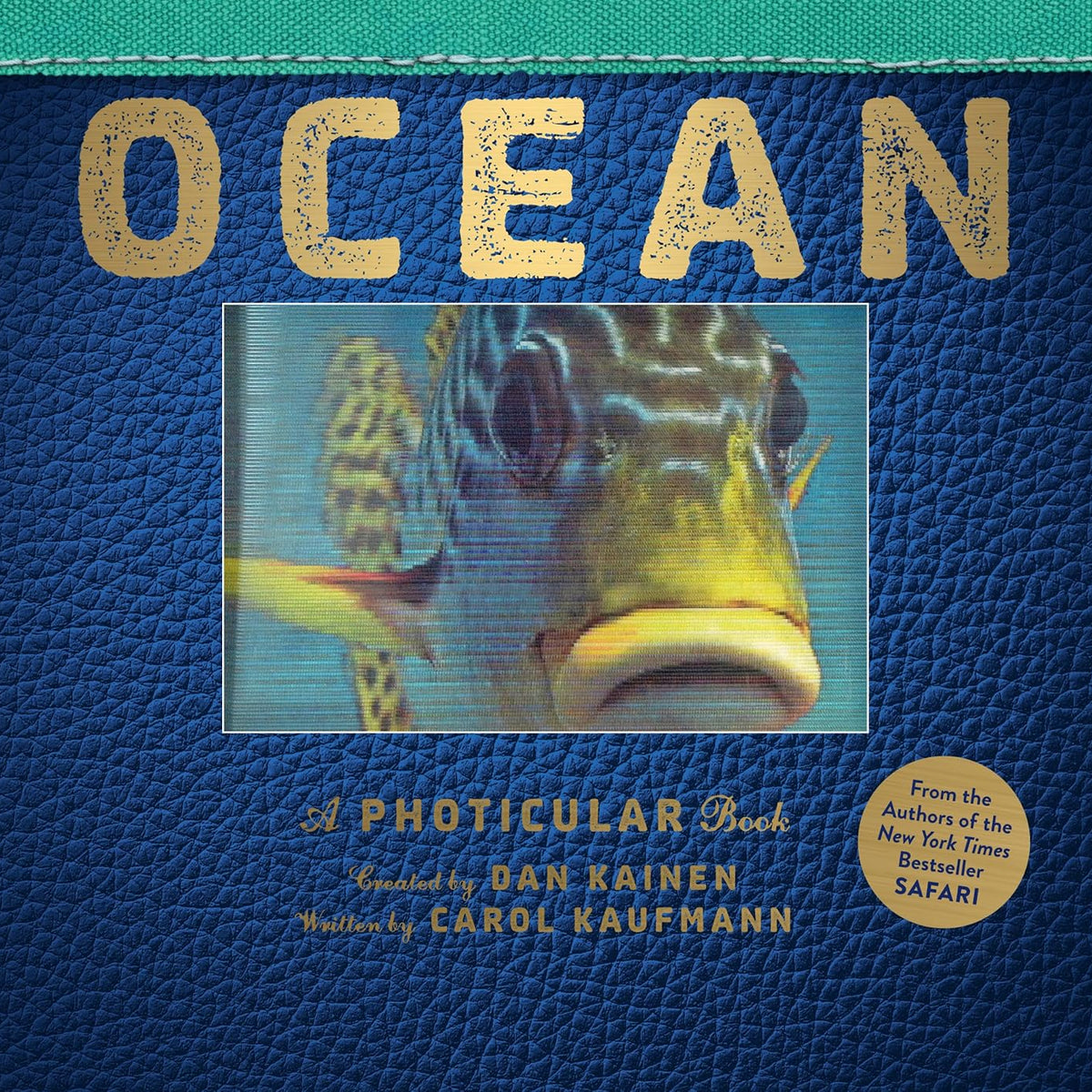 Ocean A Photicular Book | Artsy Abode